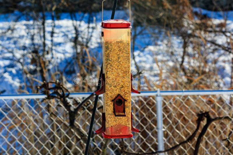 Winter Bird Feeder but No Birds Around Stock Image - Image of scenic ...