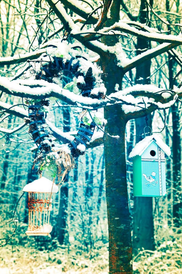 Bird houses stock photo. Image of bird, cold, park, forest - 29790120