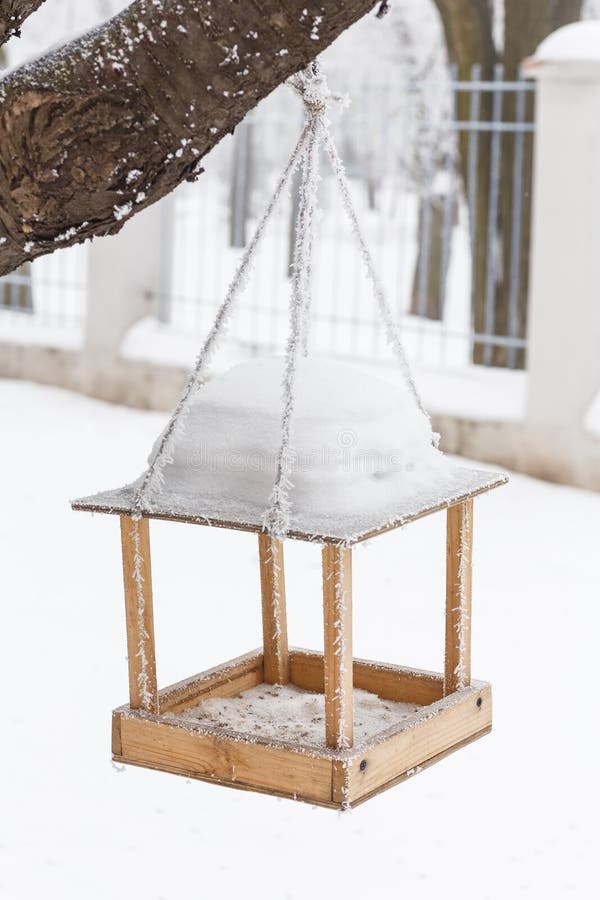 The Winter-bird S of a Feeding Trough Stock Image - Image of kindness ...