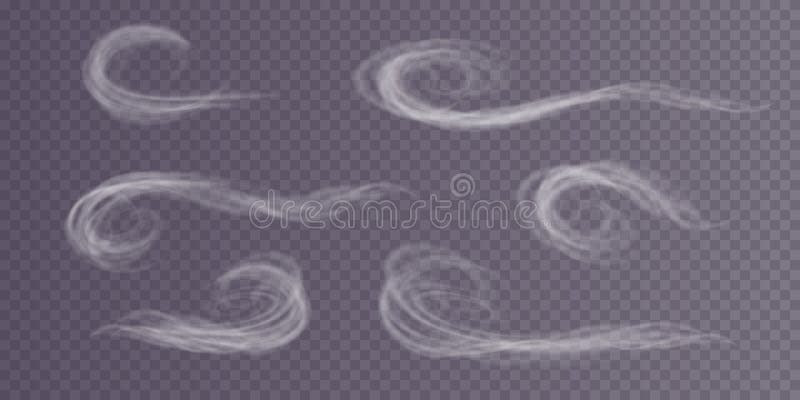 A Winter Blizzard Displaying Beautiful, Swirling Patterns of Snowflakes ...