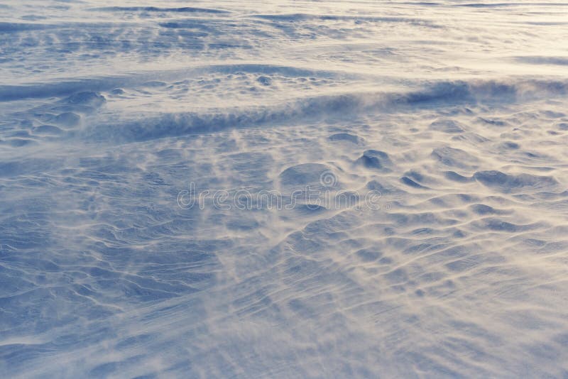 Winter Blizzard With Strong Blowing Wind Stock Image - Image of snow ...