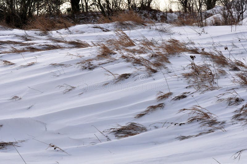 Winter Blizzard with Wind and Snow Stock Photo - Image of hanging ...