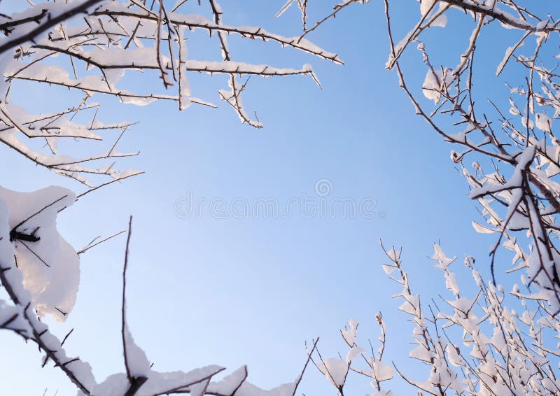 Winter Blue Sky Background with Snow and Trees Stock Image - Image of ...