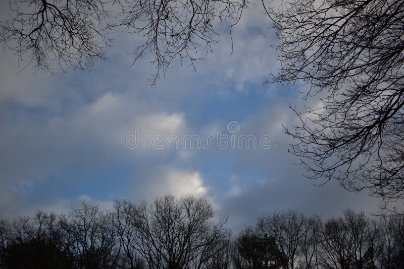 Winter Blue Sky with Clouds and Trees Stock Photo - Image of blue ...