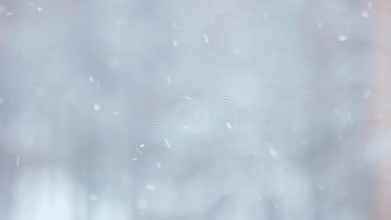 Winter Blurry Snow Background. Stock Video - Video of fresh, light ...