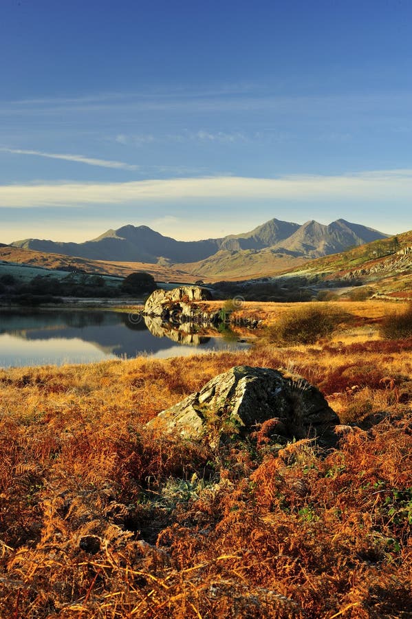 Winter Bracken, Llynnau Mymbyr Stock Photo - Image of distant, bracken ...