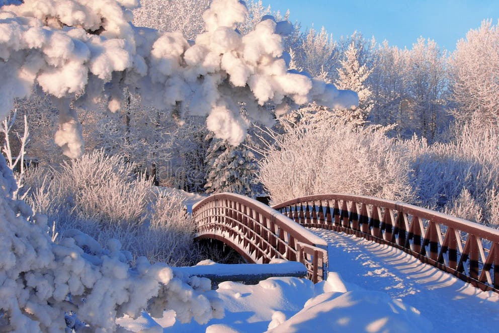 Winter bridge stock photo. Image of december, chilly, frozen - 1960138