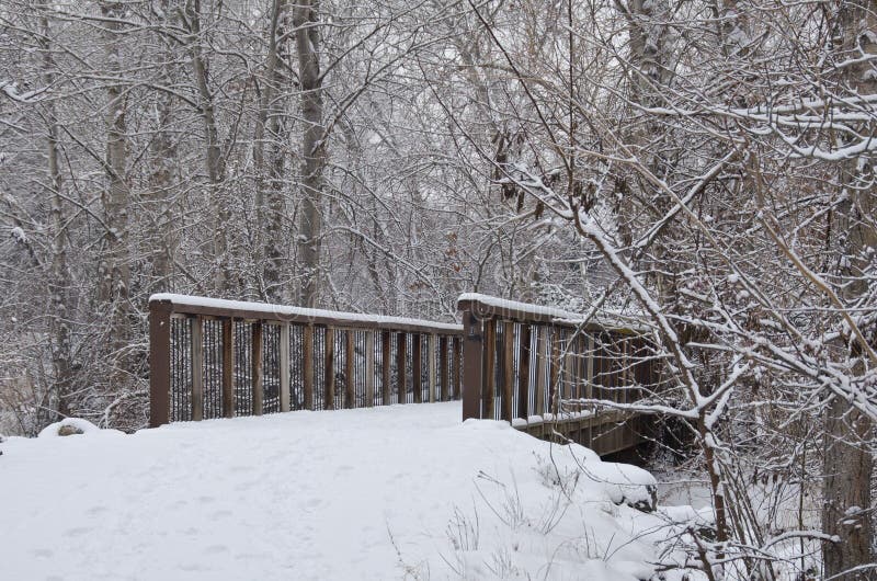 Winter Bridge after a Fresh Snowfall Stock Photo - Image of freezing ...