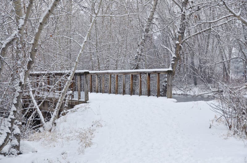 Winter Bridge after a Fresh Snowfall Stock Image - Image of forest ...