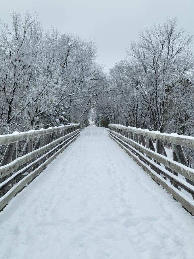 Winter Bridge with Snowy Trees Stock Photo - Image of bridge, white ...