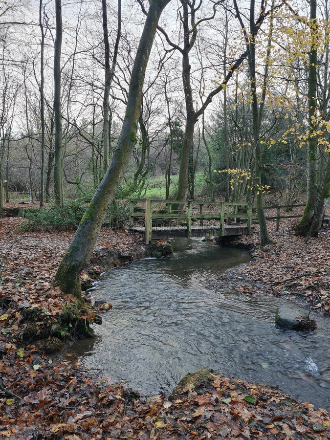 Winter Bridge and Stream in Yorkshire UK Stock Image - Image of trunk ...