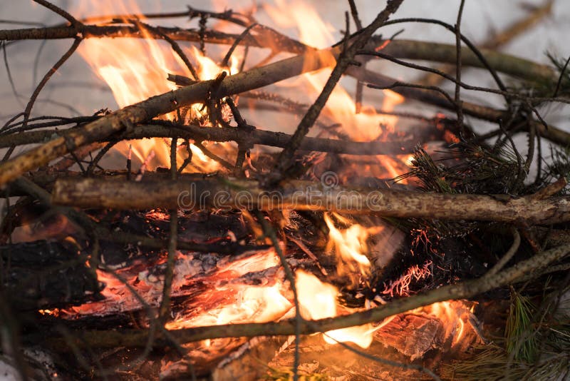 A Bright Bonfire from Twigs Burns Stock Photo - Image of barbecue, burn ...