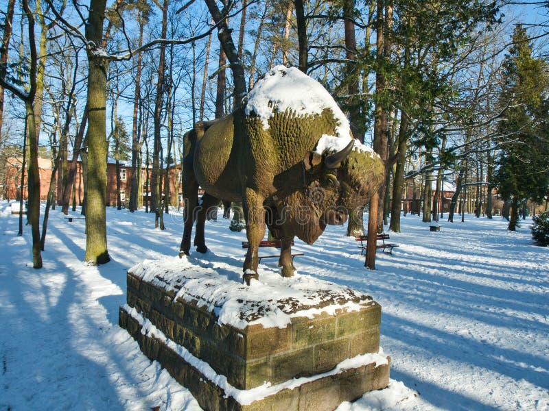 Winter of the Bronze Bison. Stock Image - Image of scenery, cityscape ...