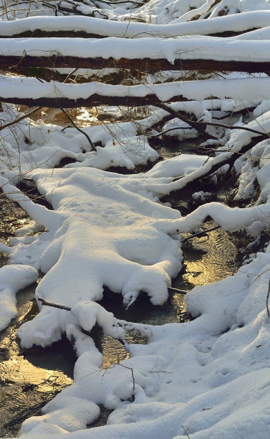 Winter brook stock image. Image of sunlight, forest, life - 36572443