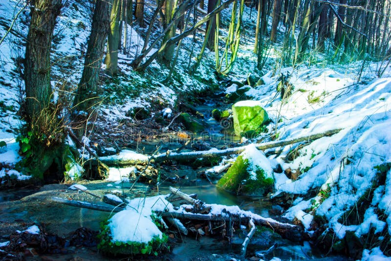 Winter Brook Trout stock photo. Image of snowflake, woman - 49820110