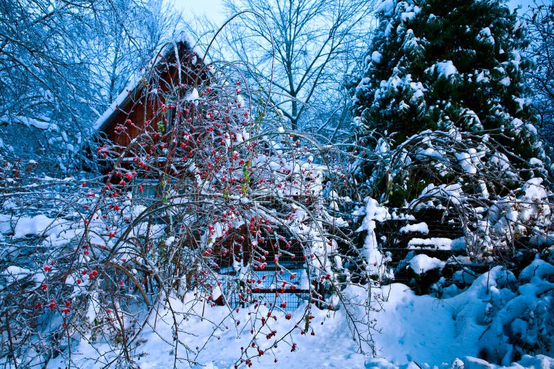 Winter cabin in scene ice stock image. Image of cold - 80855901