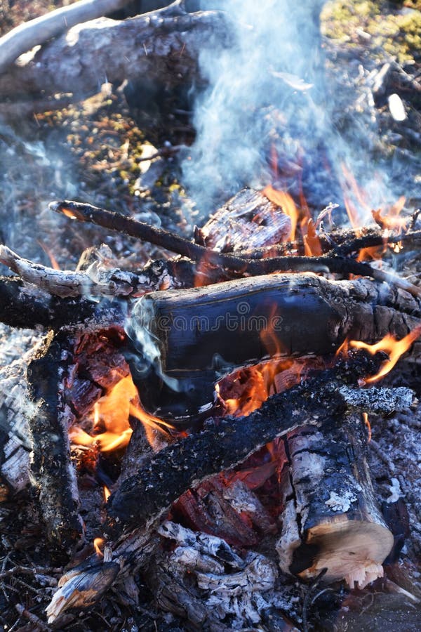 Winter Campfire Burning Witn Orange Flames Outdoors Stock Image - Image ...