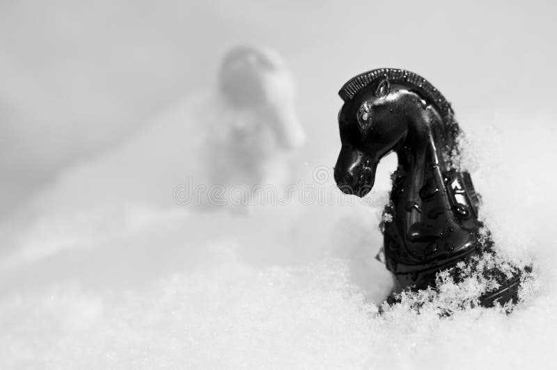 Winter chess stock image. Image of closeup, power, knight - 28808853