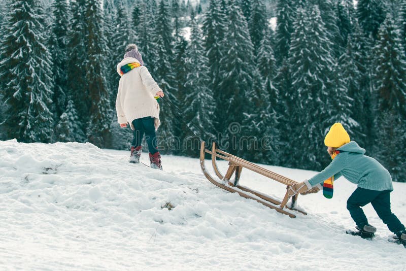 Winter Children Sliding on a Sled in Snow. Stock Photo - Image of snow ...