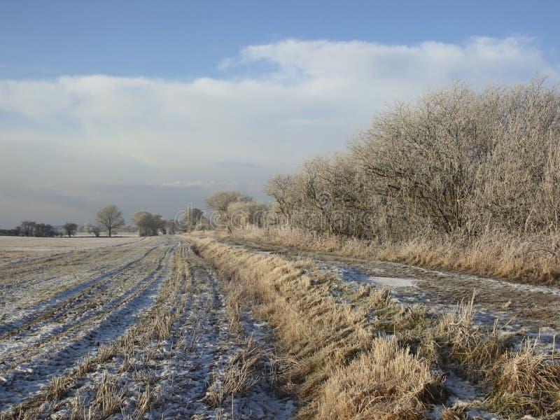 Winter chill stock photo. Image of cold, snow, bright - 12290942