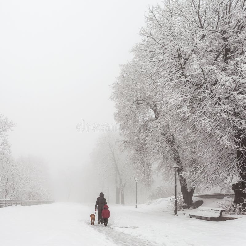 Winter city park stock image. Image of central, december - 38571667