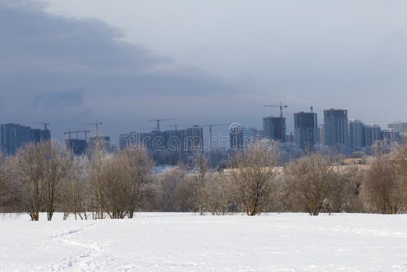 Winter City Park. Multi-storey Buildings are Visible on the Horizon ...