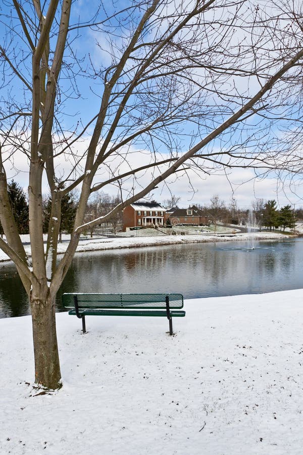 Winter City Scene with a Bench Near Pond Stock Image - Image of houses ...