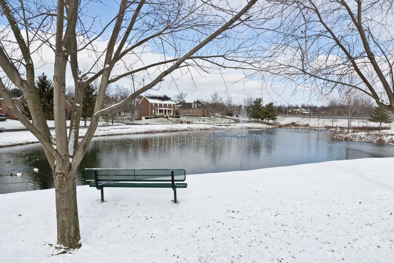 Winter City Scene with a Bench Near Pond Stock Image - Image of ...