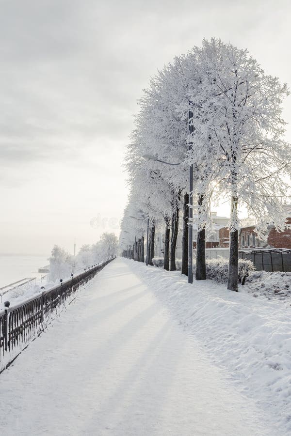 Winter Cityscape with a Lamppost Covered in Snow Stock Photo - Image of ...
