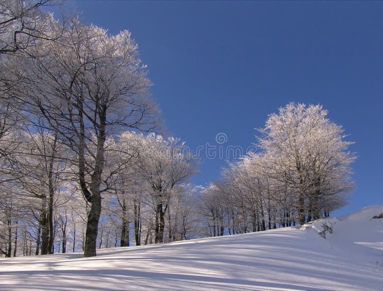 Winter in Ciucas Mountains stock image. Image of cloud - 1240435