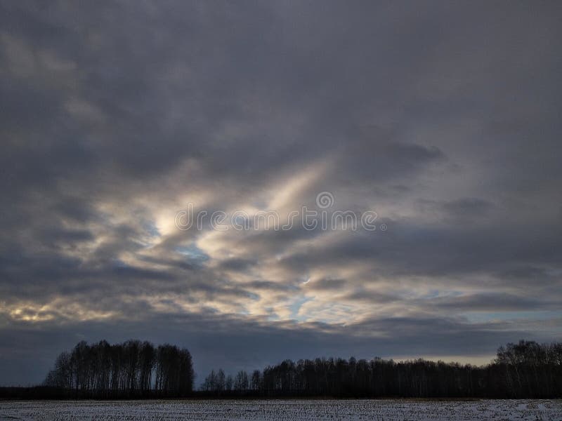 Cloudy Winter Day, Snow Covered Trees And Transmission Tower, With Power Lines Running Above ...