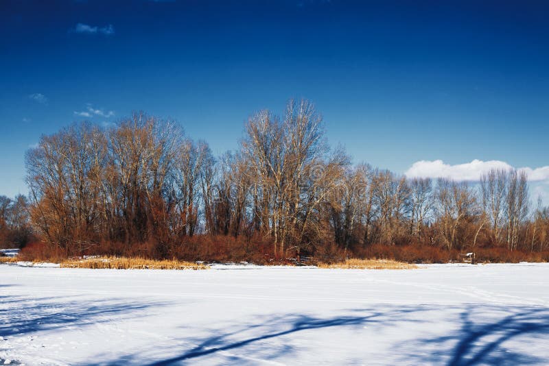 Winter cold landscape stock image. Image of tourist - 363756535