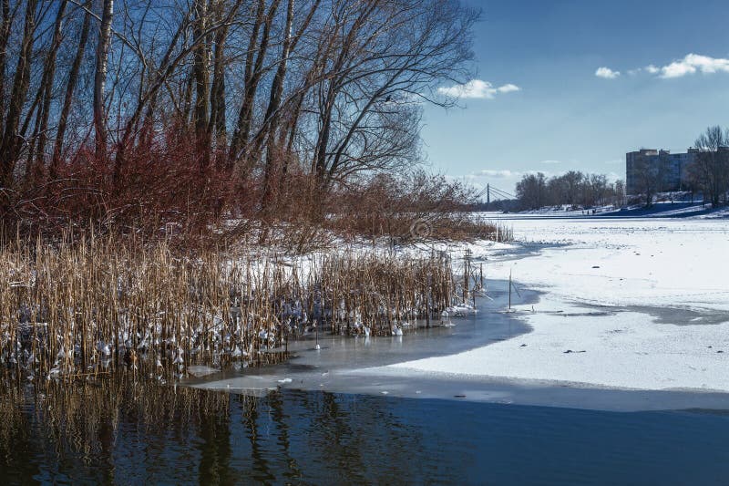Winter cold landscape stock image. Image of view, recreation - 370406697