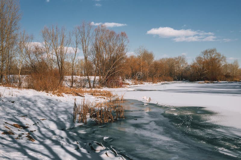 Winter cold landscape stock image. Image of travel, blizzards - 370406737