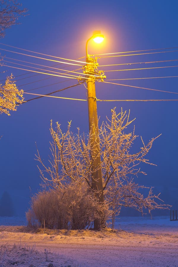 Winter Cold Night with Lamp Stock Image - Image of city, weather: 37459923