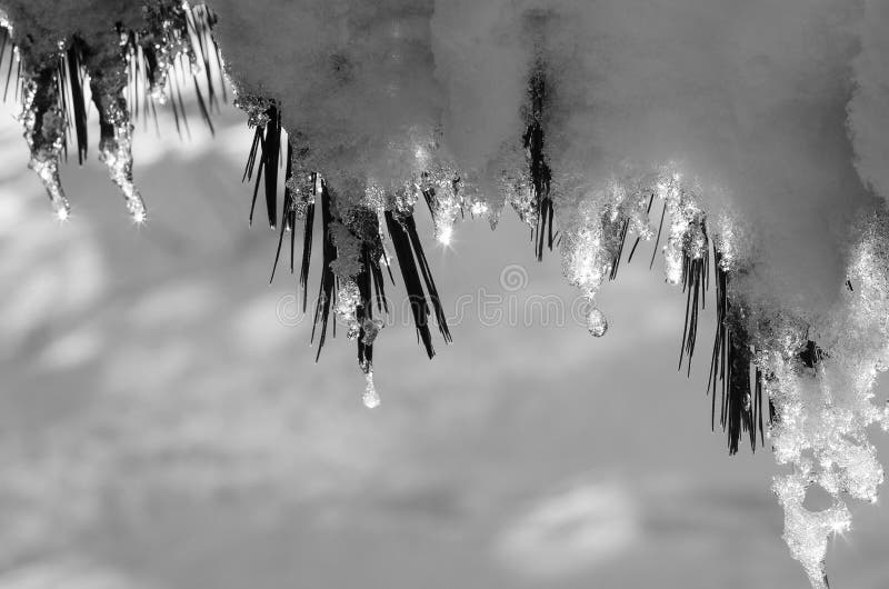 Winter Cold Weather and Sun Reflections Stock Photo - Image of weather ...