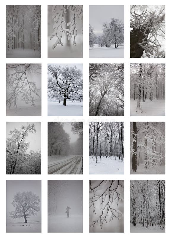 Winter collage stock photo. Image of vertical, snow, landscape - 17372914