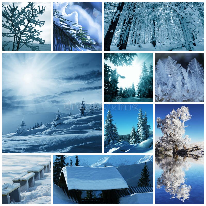 Winter stock image. Image of natural, park, collage, cold - 54196241