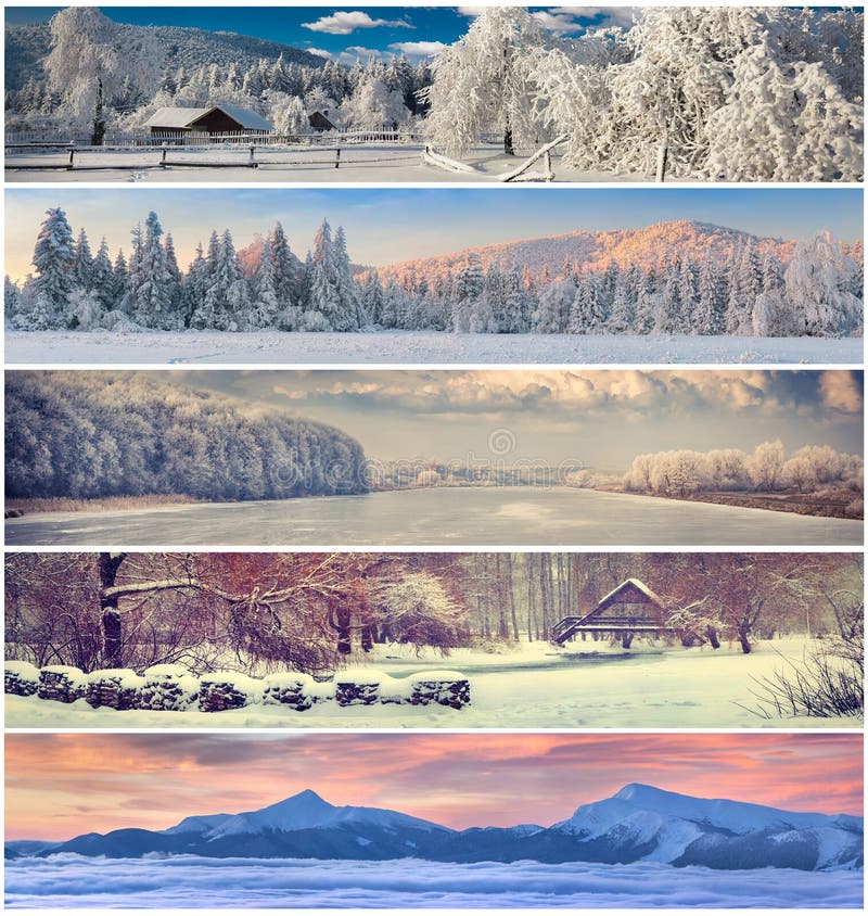 Winter Collage with Snow, Forest - Winter Season - Snowy Trees Stock ...