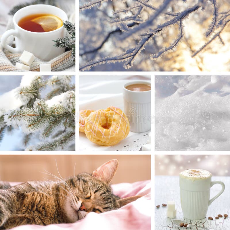 Winter Collage with Landscapes, Coffee and Sleeping Cat Stock Image ...