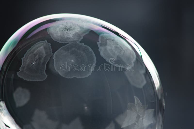 Winter Collage. a Transparent Soap Bubble Freezing in the Cold on a ...