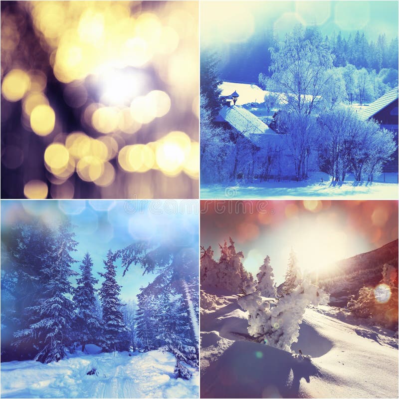 Winter collage stock image. Image of trees, scenery, frost - 54194047