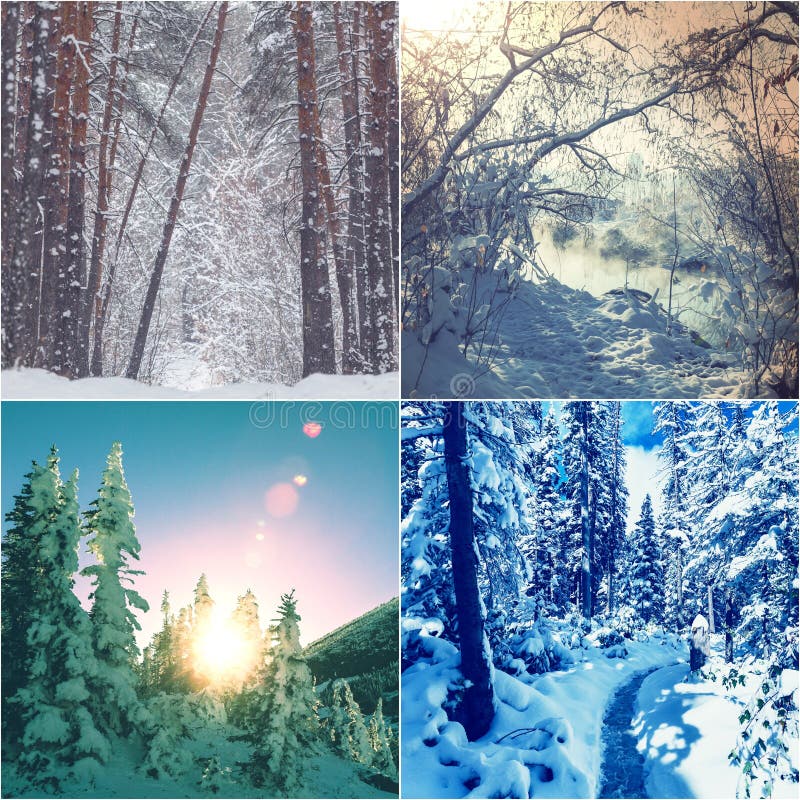 Winter collage stock photo. Image of sunny, collage, natural - 54194464