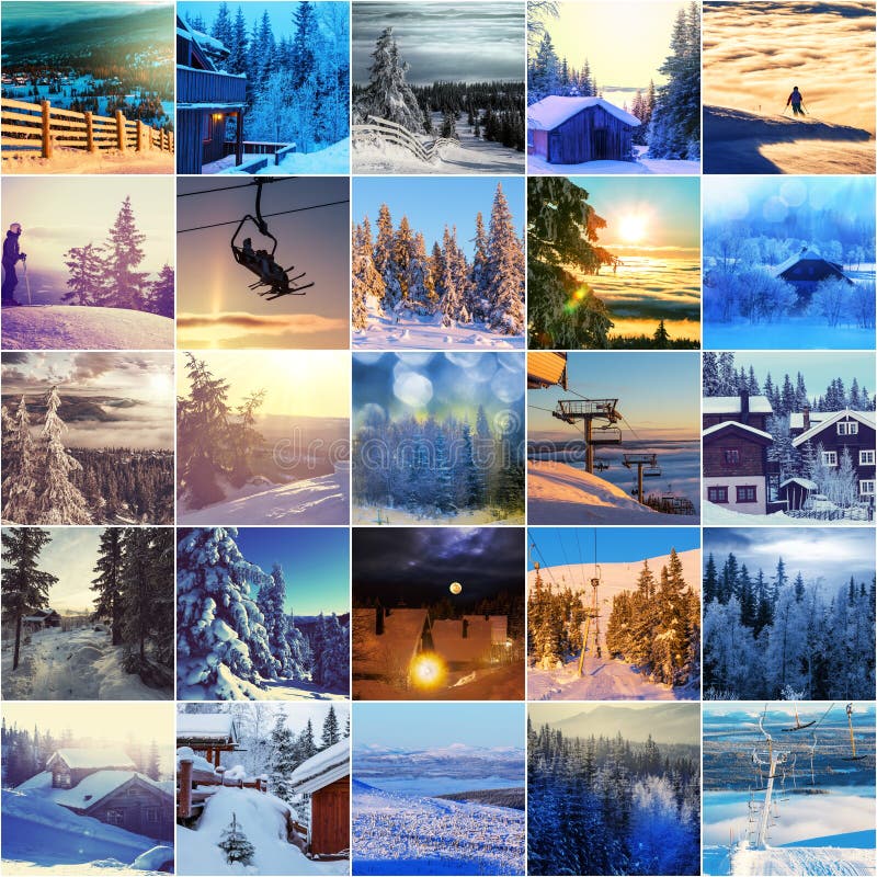 Winter collage stock photo. Image of holiday, frosty - 54194710