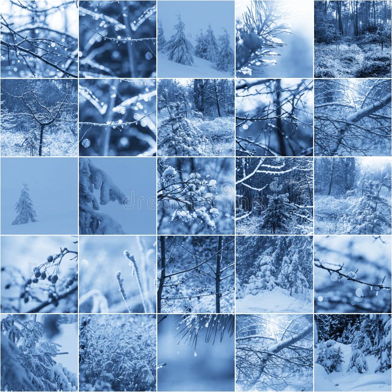 Winter collage stock image. Image of park, cover, crystal - 77206089