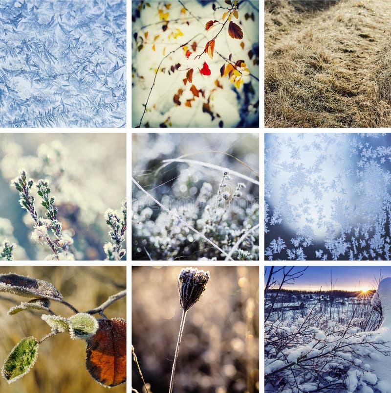 Winter collection stock image. Image of iced, beauty - 60864841