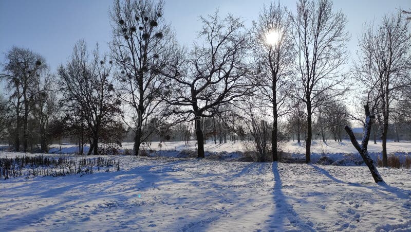 Winter is coming stock image. Image of winter, snow - 264273475