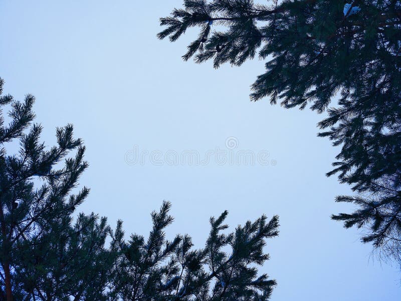 Winter is coming stock photo. Image of nature, white - 165998490