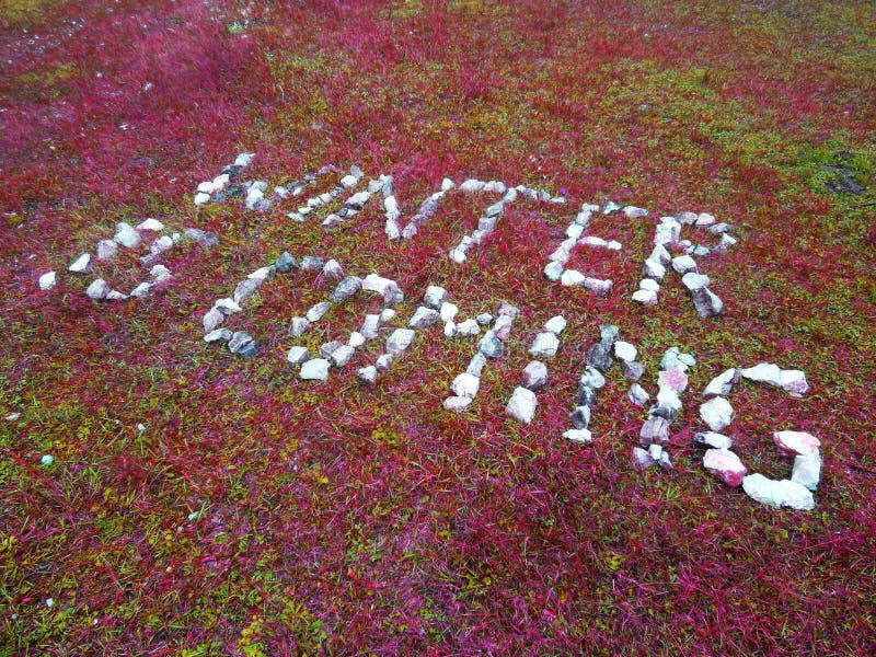 Winter is coming stock photo. Image of coming, punchline - 92391818