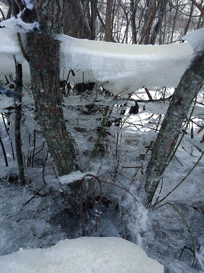 Winter is coming stock photo. Image of cold, nature - 165997738